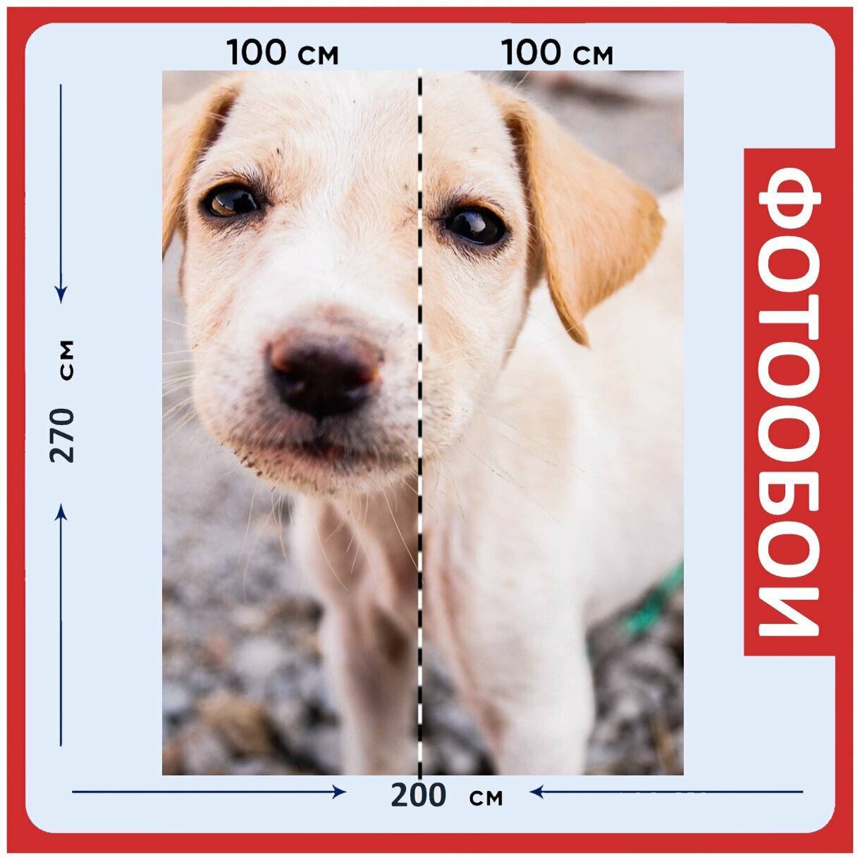 Фотообои "Собака, щенок, домашний питомец" 200x270 см. флизелиновыена стену