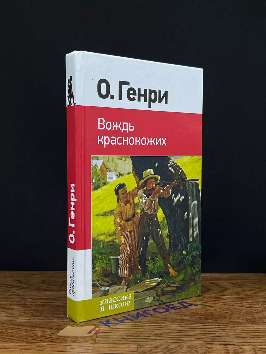 Книга. Вождь краснокожих 2018 (2039313941968)