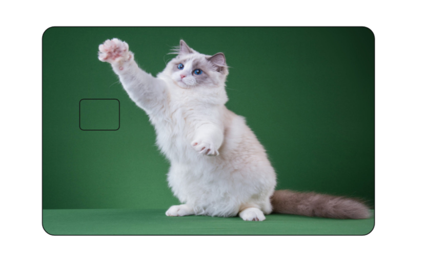 Наклейка на банковскую карту, стикер на карту, мемы, приколы, комиксы, кошки