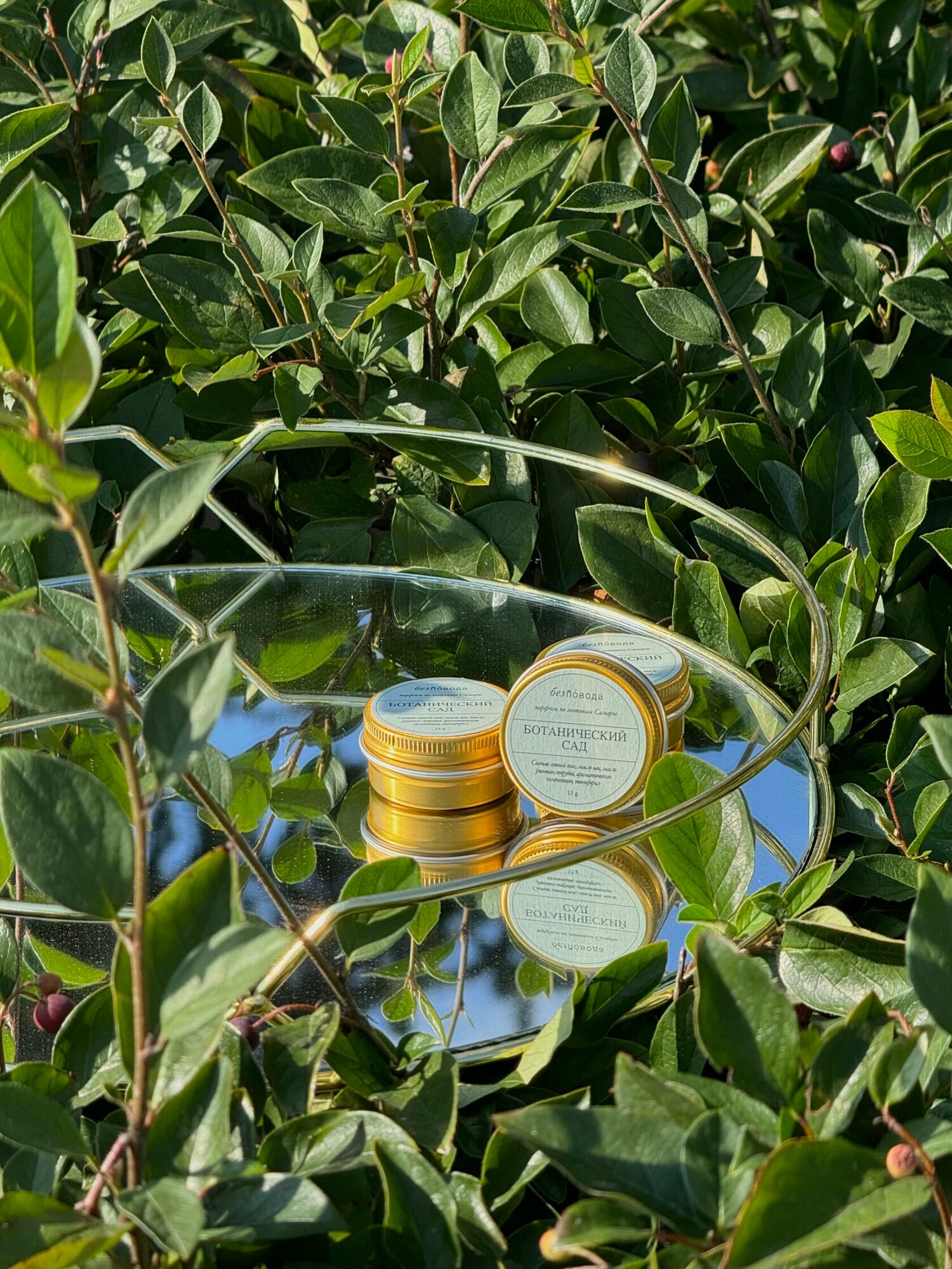 Твердые духи Ботанический сад 15 гр.