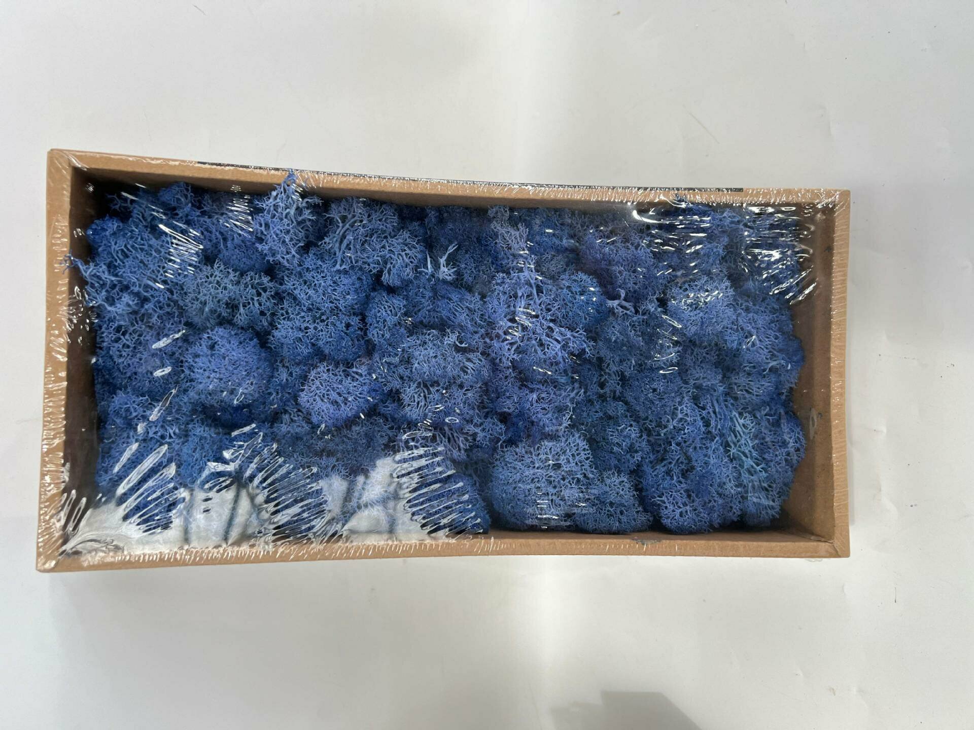 Стабилизированный мох Grass of Dreams "Юньнань" mzchc-0035, синий, фиолетовый