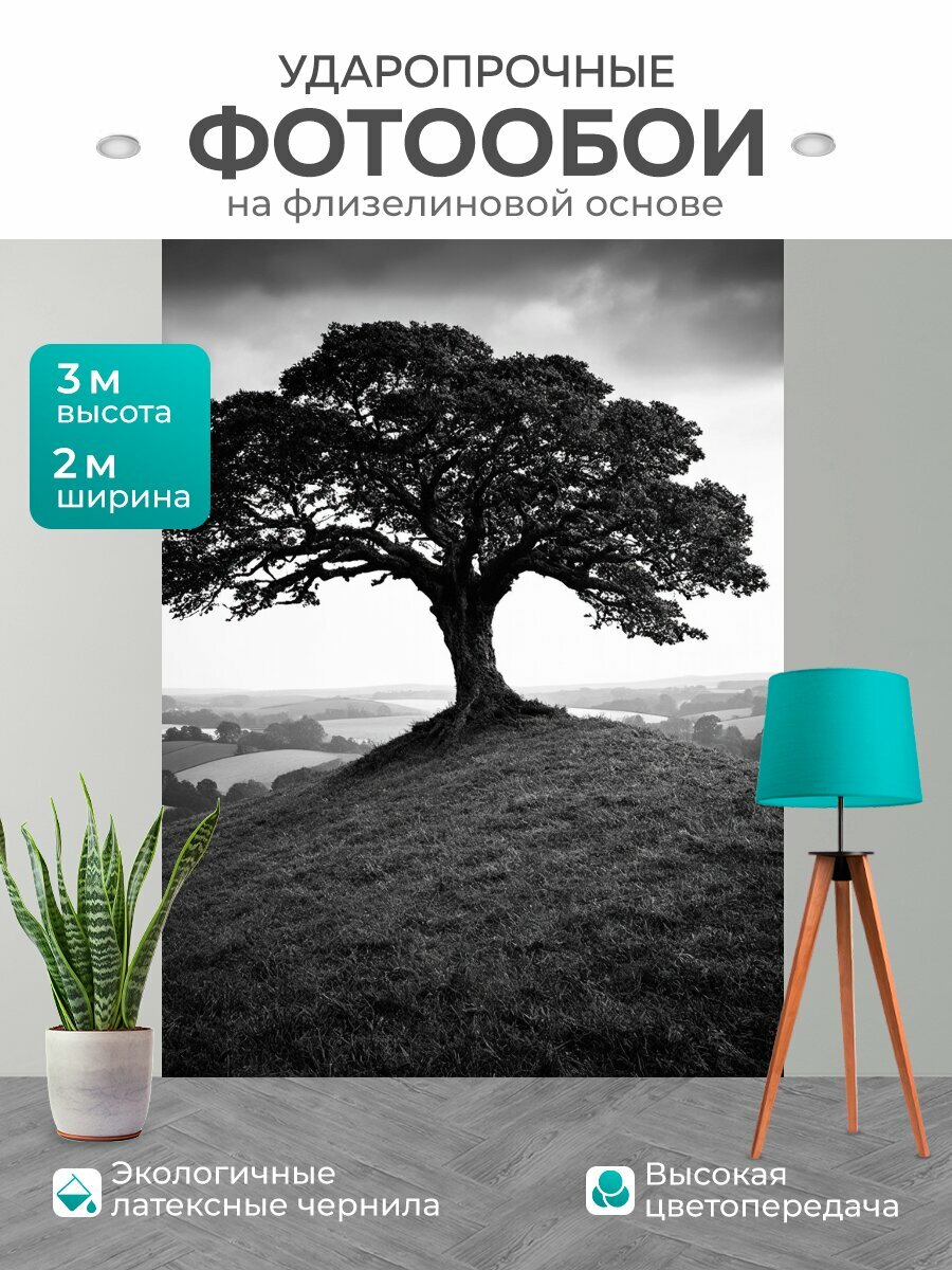 Фотообои моющиеся ударопрочные "Черно-белый: старое дерево, стойко стоящее на вершине холма, под которым видны кадры пасторальных пейзажей. ветви" 200x300 см. флизелиновые на стену