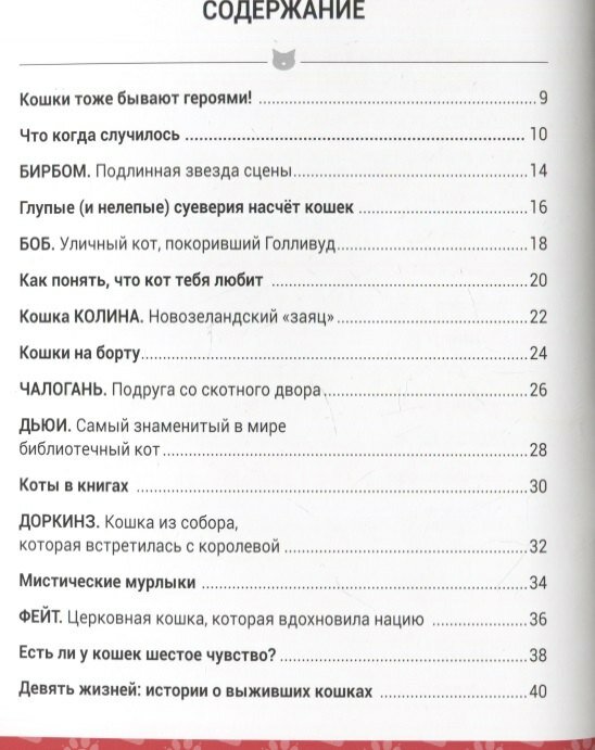 Выдающиеся кошки! Удивительные истории об отважных кошках — фото 1