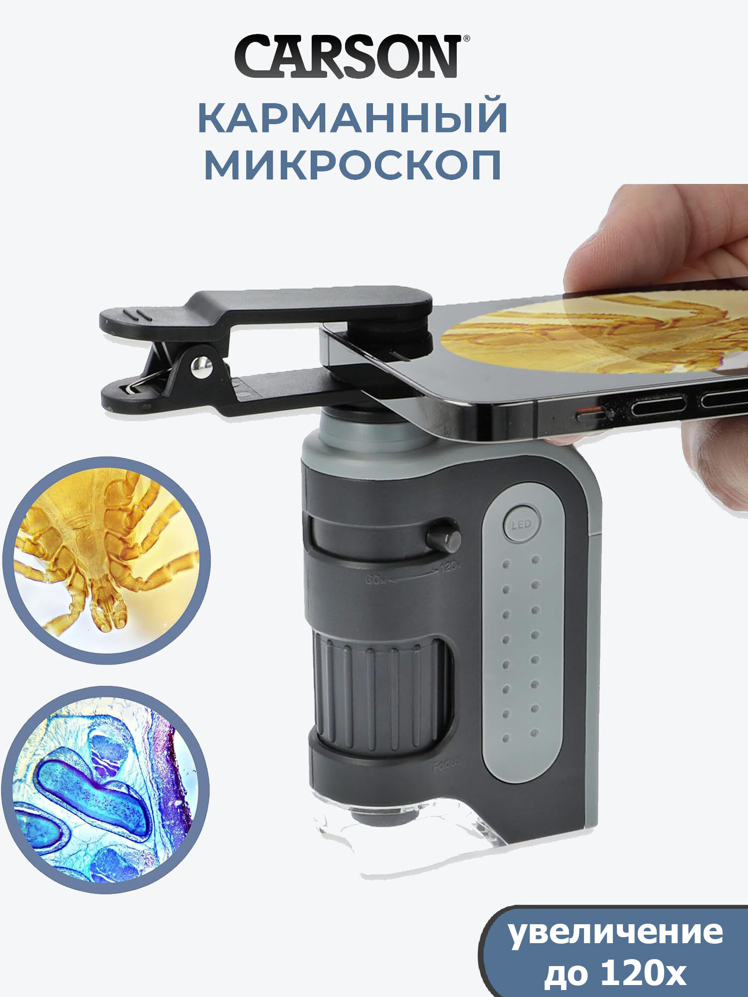 Микроскоп карманный Carson MicroBrite Plus, 60-120x