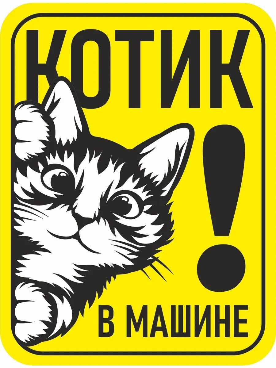 Наклейка знак на авто дети в машине с котиком