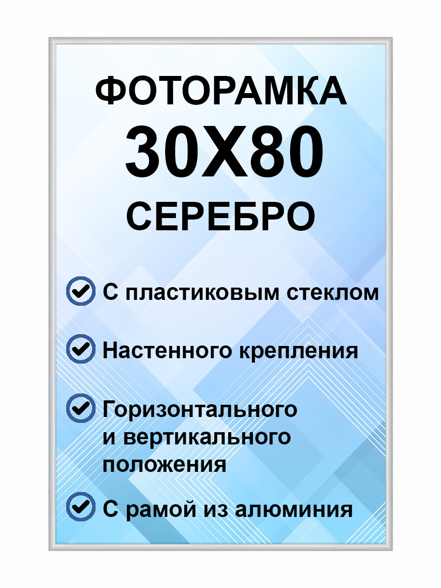 Фоторамка металлическая серебристая для постера, картины, фотографии 30х80 см