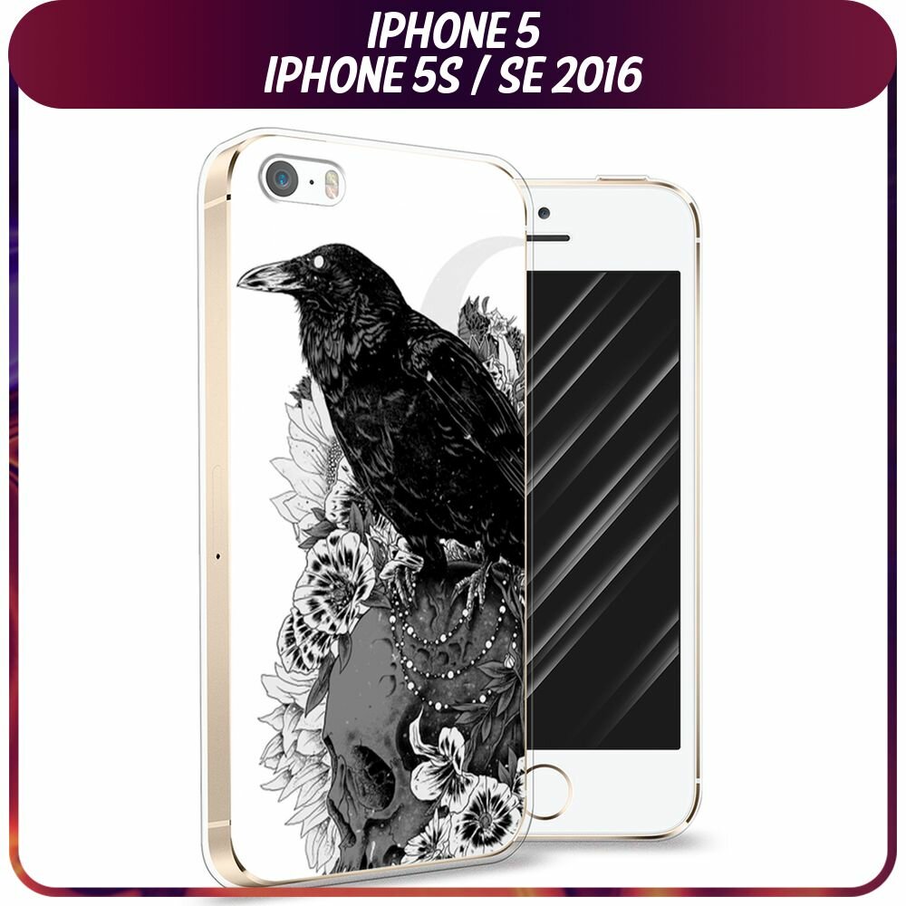 Чехол на Apple iPhone 5/5S/SE / Айфон 5/5S/SE с принтом "Череп и ворона 1"
