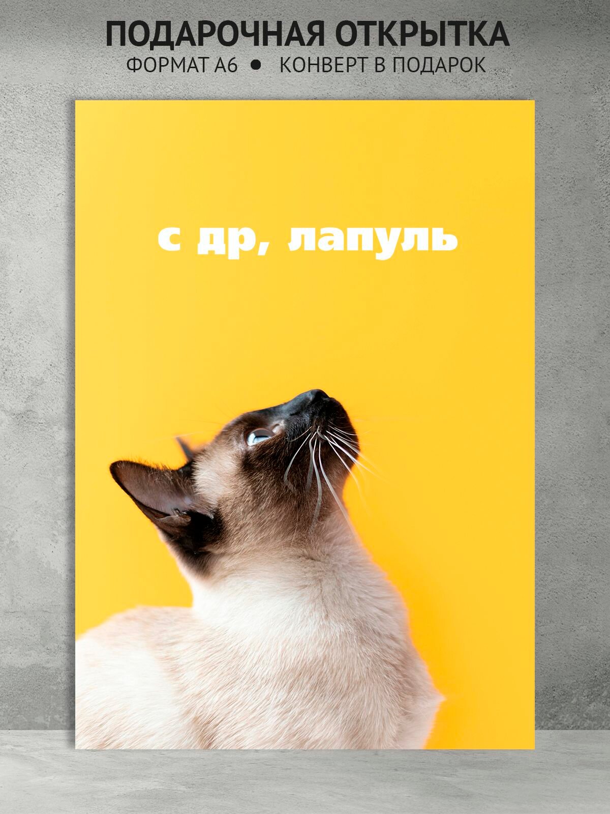 Подарочная открытка с уникальной иллюстрацией котик "С др, лапуль" с днем рождения, с юбилеем