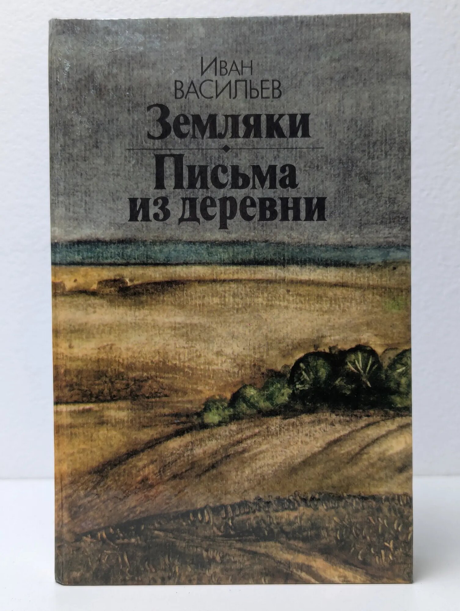 Земляки. Письма из деревни Васильев Иван Афанасьевич 1985