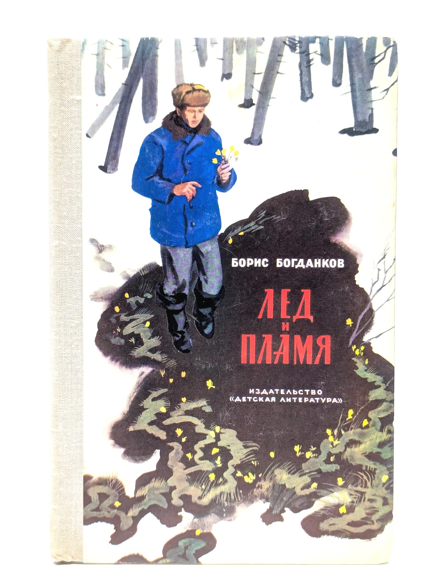 Лед и пламя Богданков Борис Иванович 1980