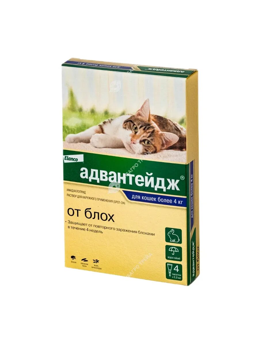 Адвантейдж 80 д/кошек от 4кг уп.4 пипетки