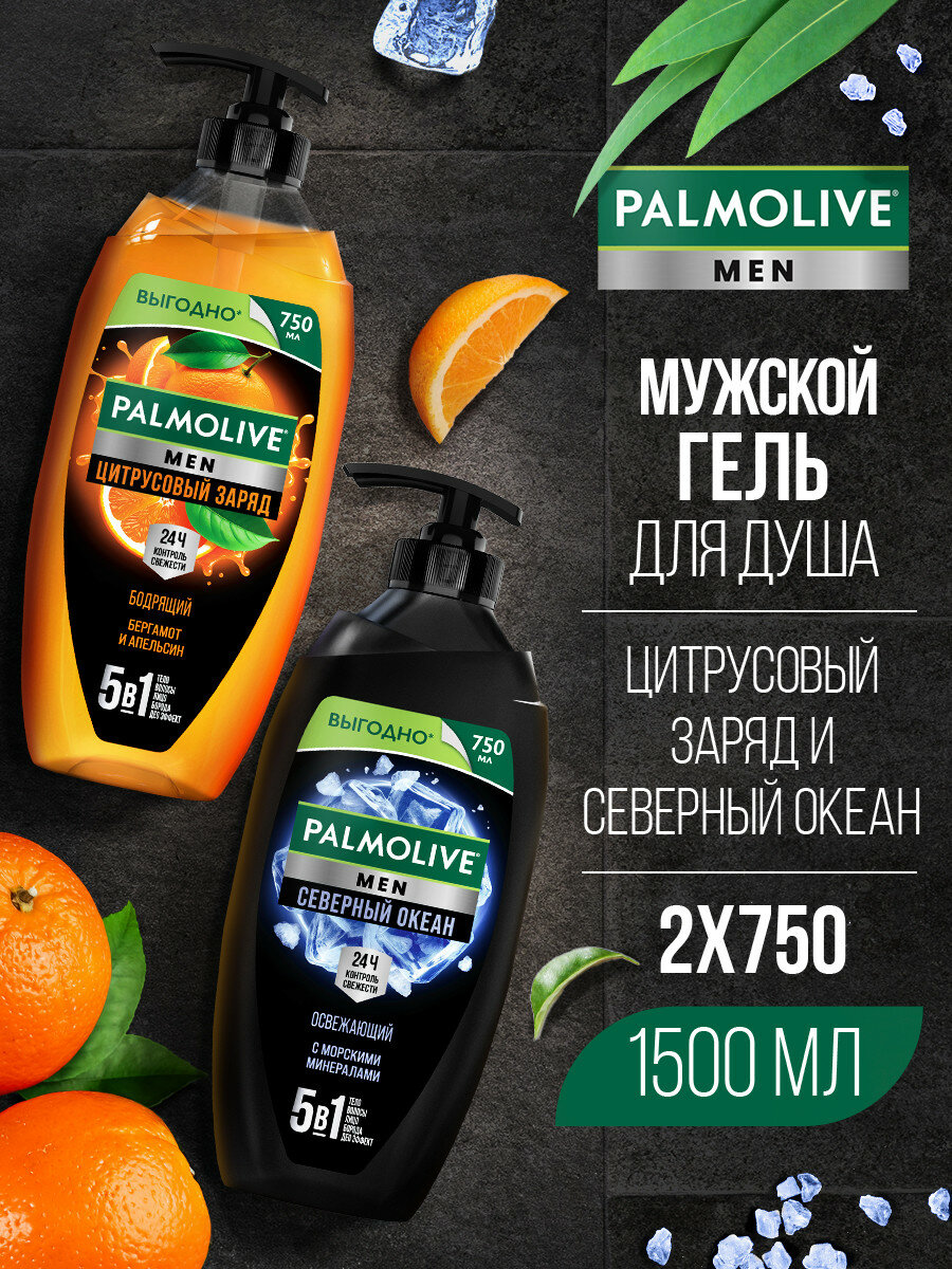 Гель для душа Palmolive men 3в1 бодрящий цитрусовый заряд, 750 мл и Освежающий северный океан, 750 мл