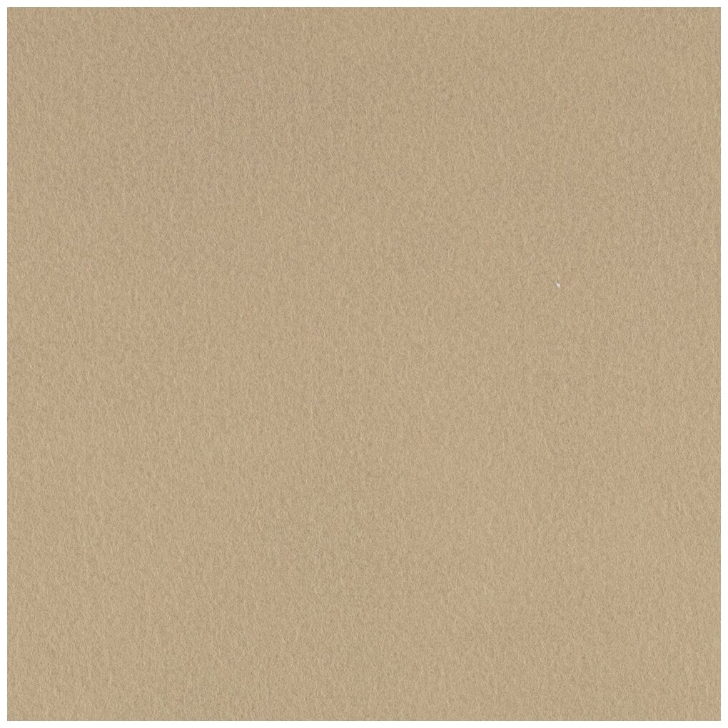 Фетр Gamma Premium FKR10-33/53 декоративный 33 см х 53 см ± 2 см RN33 бежевый