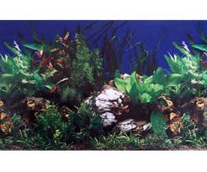 Фон для аквариума Triton белый камень водоросли 30см 1м 090030