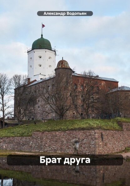 Брат друга [Цифровая книга]