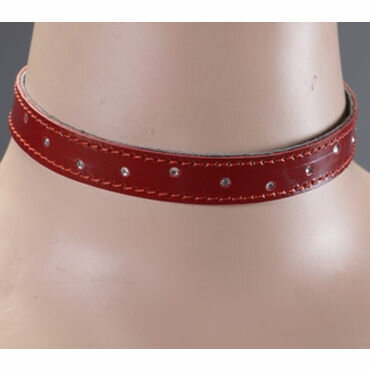 31466 Podium ошейник. Декорированный стразами