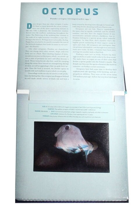 Печатная книга — фото 1