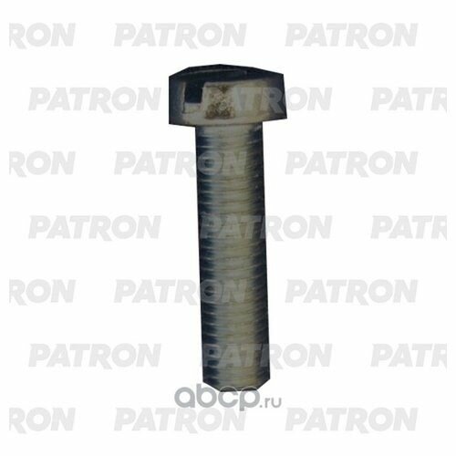 Болт металлический M5X20 Patron P373205T