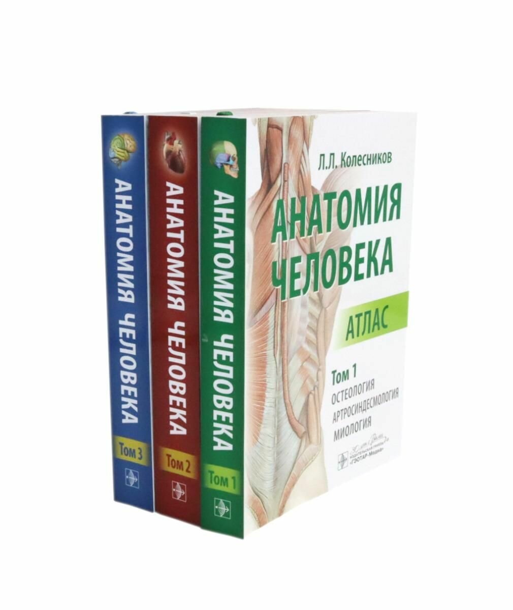 Учебное пособие гэотар-медиа Анатомия человека: Атлас. В 3 томах, комплект из 3-х книг. Колесников Л. Л, 2024 год