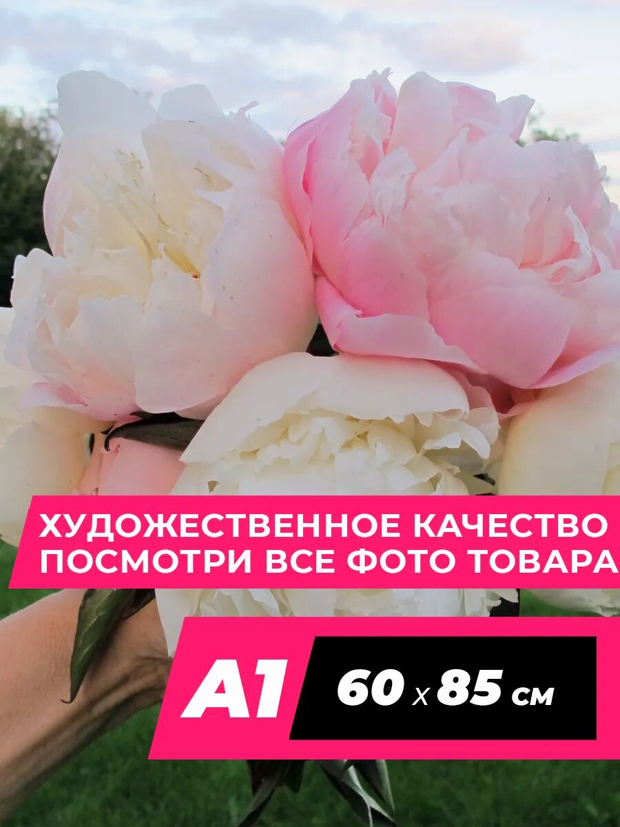 Постер пионы на стену 42 Paeonia A1, матовая фотобумага премиум качества
