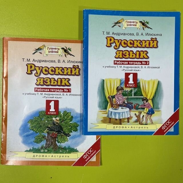 Андрианова Илюхина Русский язык 1 класс Рабочая тетрадь в 2-х частях ФГОС 2017