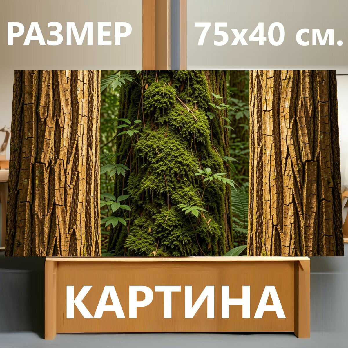 Картина на холсте "Лесные стволы с мхом. Тропический лес с высокими деревьями, покрытыми ярким зеленым мхом, и фактурной корой в теплых." на подрамнике 75х40 см. для интерьера