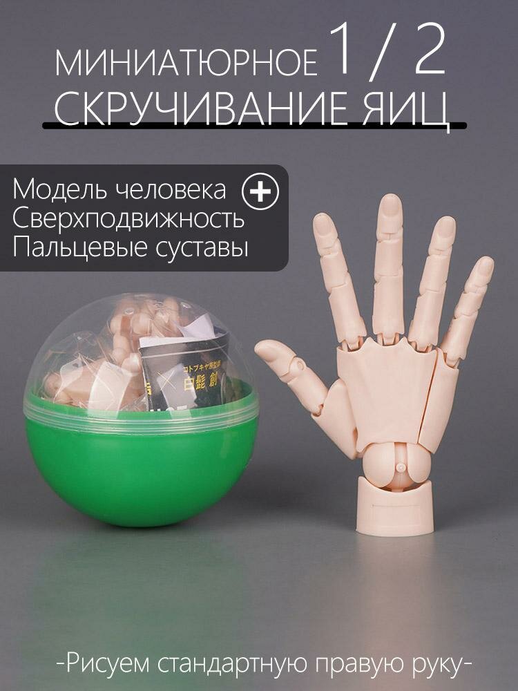 Миниатюрная модель ладони размером 1/2 гача, сверхмощный сустав пальца, ручная модель, рисование и зарисовки, стандартная правая рука