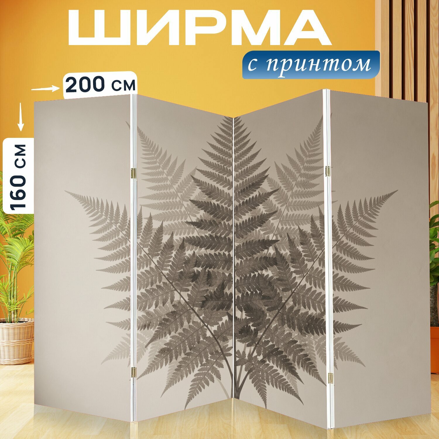 Ширма "Папоротник на бежевой стене. Элегантный ботанический сюжет с крупными листьями папоротника в мягкой." перегородка для зонирования комнаты с принтом 200x160 см. на холсте