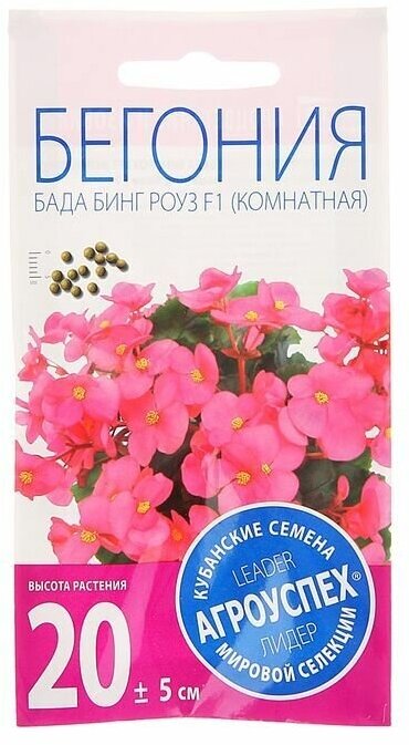 Семена комнатных цветов Бегония Бада Бинг Роуз, вечноцветущая, 10 шт