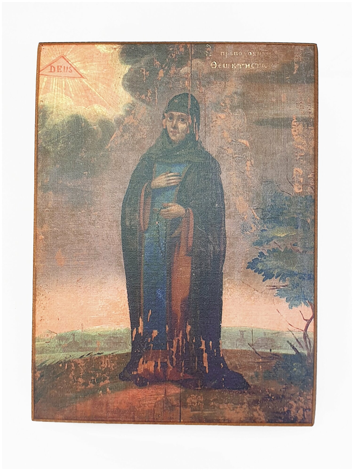 Икона "Святая Феоктиста", размер иконы - 10x13