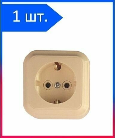 Розетка Наруж Одинарная С Заземлением Бежевый IP 20 16А 250В Пралеска