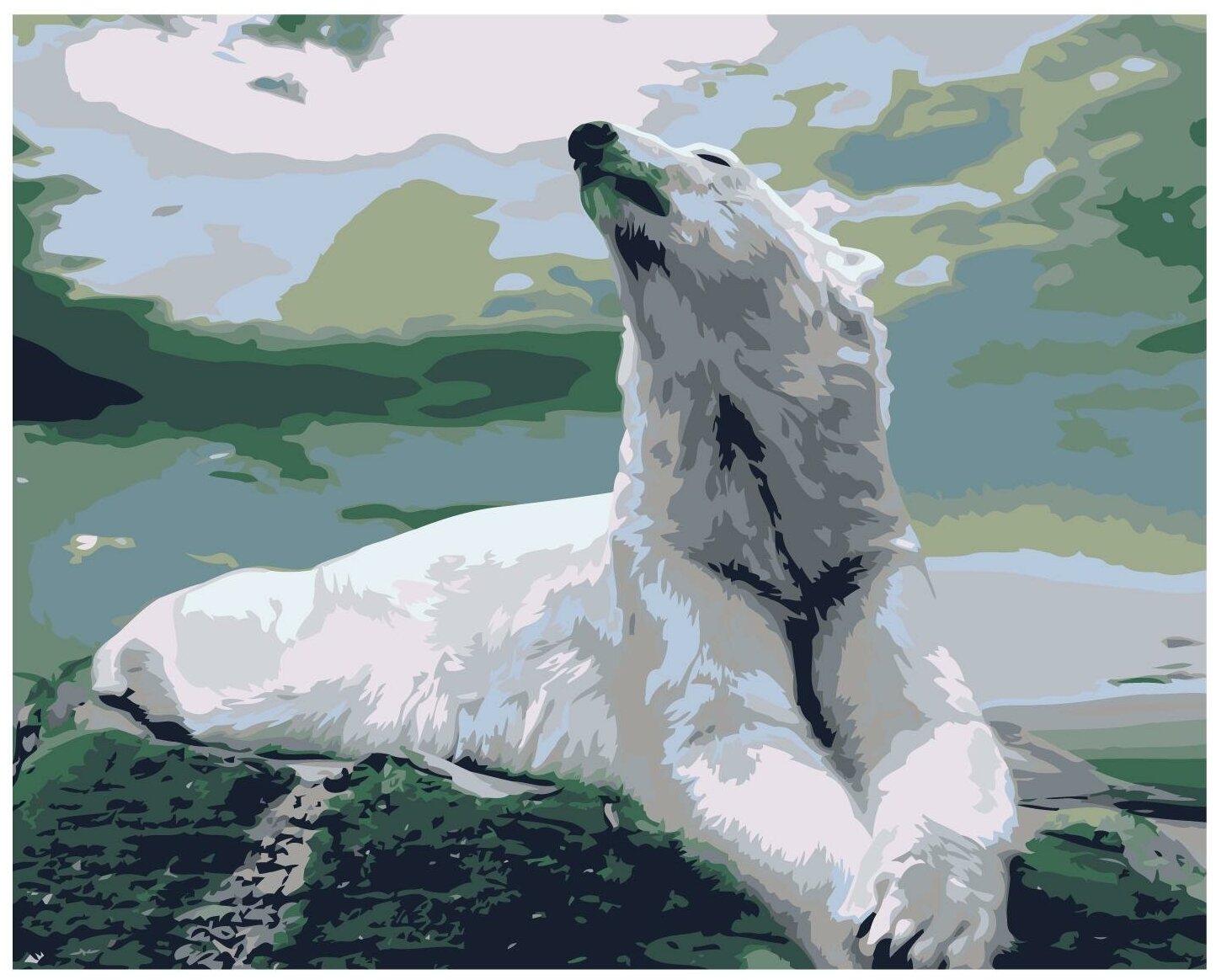 Белый медведь на скале Раскраска картина по номерам на холсте