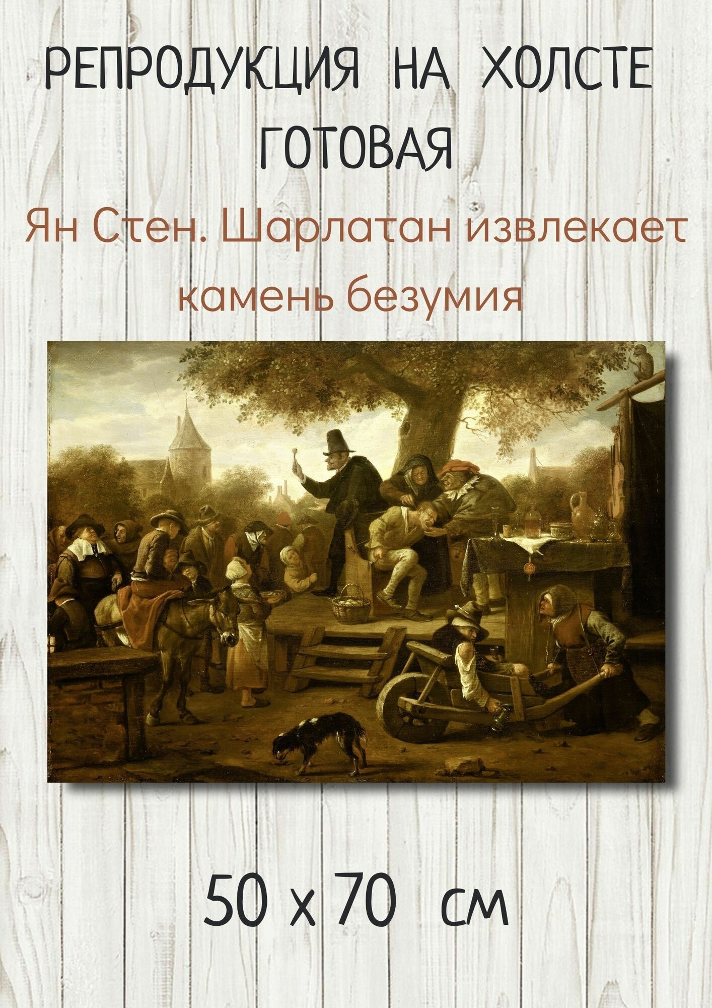 Картина 70х50 "Ян Стен - Шарлатан извлекает камень безумия"