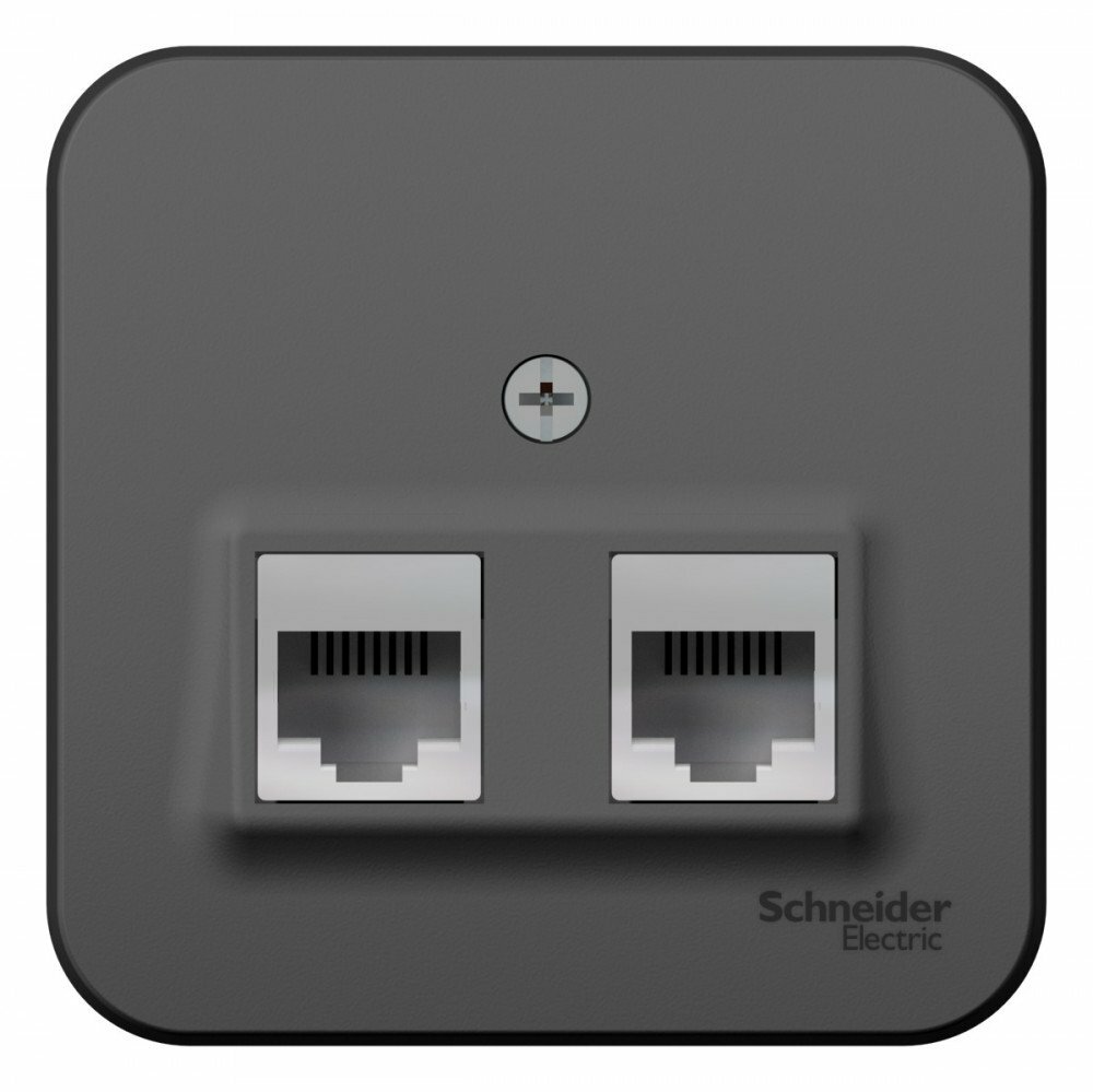 Blanca наруж Антрацит Розетка 2-ая ТЛФ/комп, RJ45+RJ11, кат.5E, изолир. пластина, Systeme Electric, BLNIA045116
