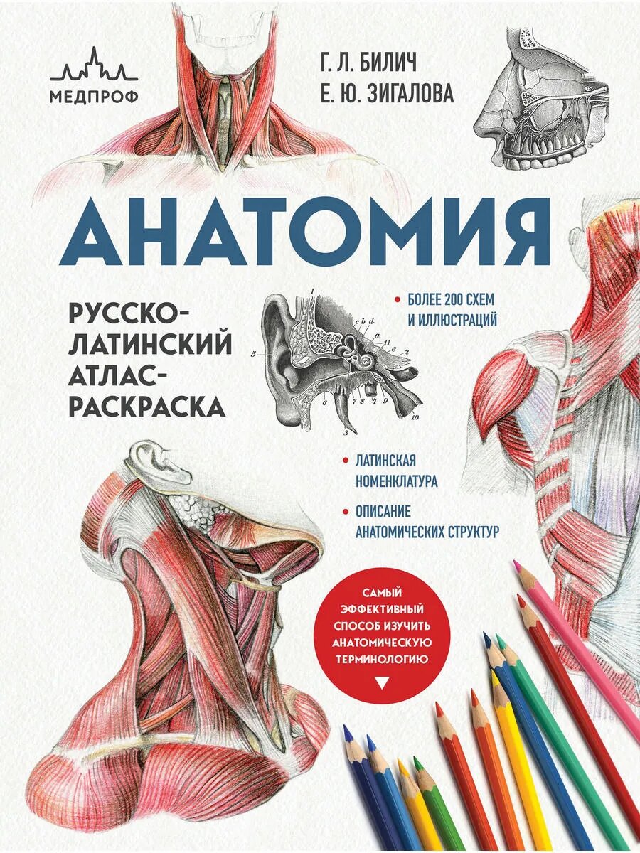 Анатомия: русско-латинский атлас-раскраска (новое оформление