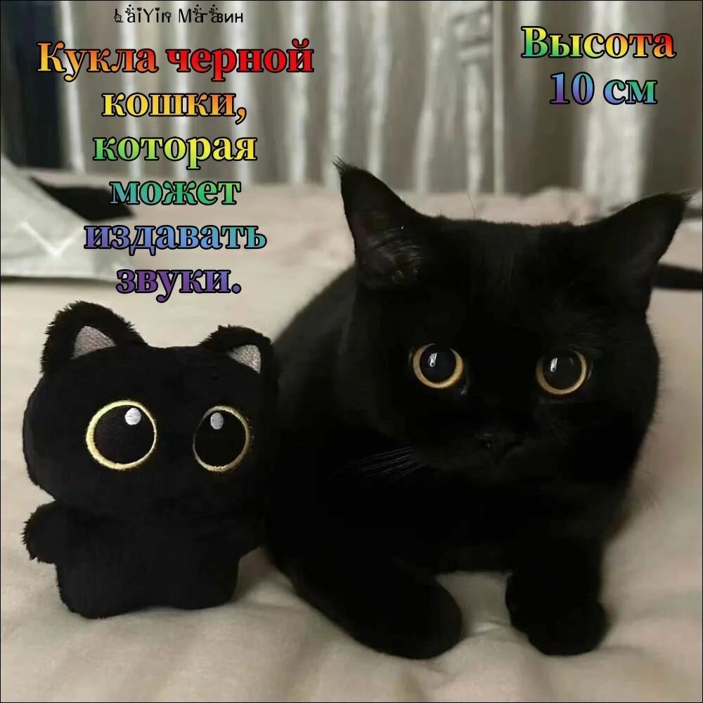 Кукла черной кошки, которая может издавать звуки. Высота 10 см
