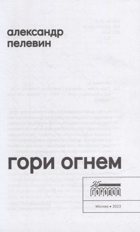Гори огнем: повесть — фото 1