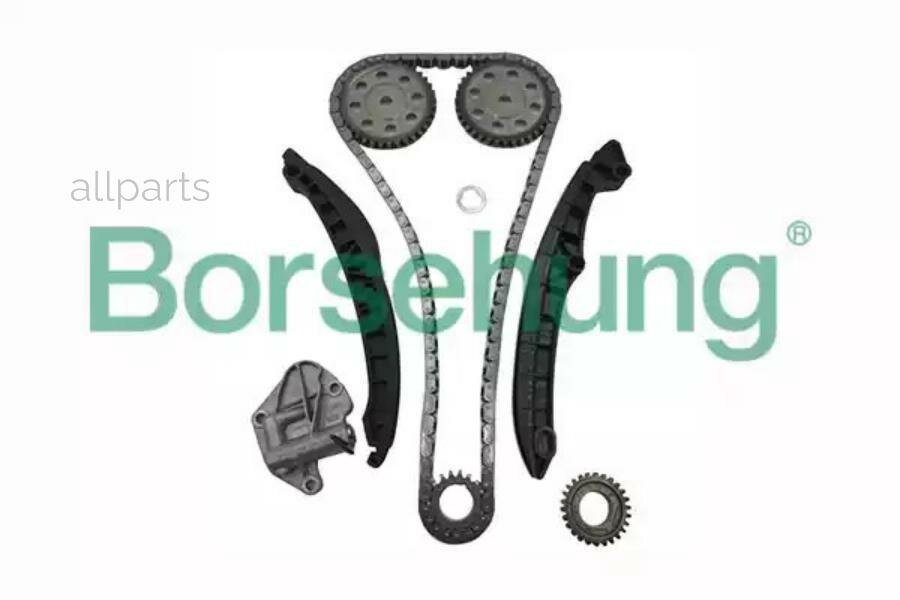 BORSEHUNG B16296 цепь грм (комплект) (CGPA)