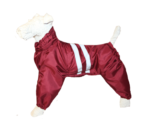 Демисезонный комбинезон для цвергпинчера (карликового пинчера) кобеля, повышенной прочности, на тонком синтепоне, со светоотражающими полосами, цвет бордо