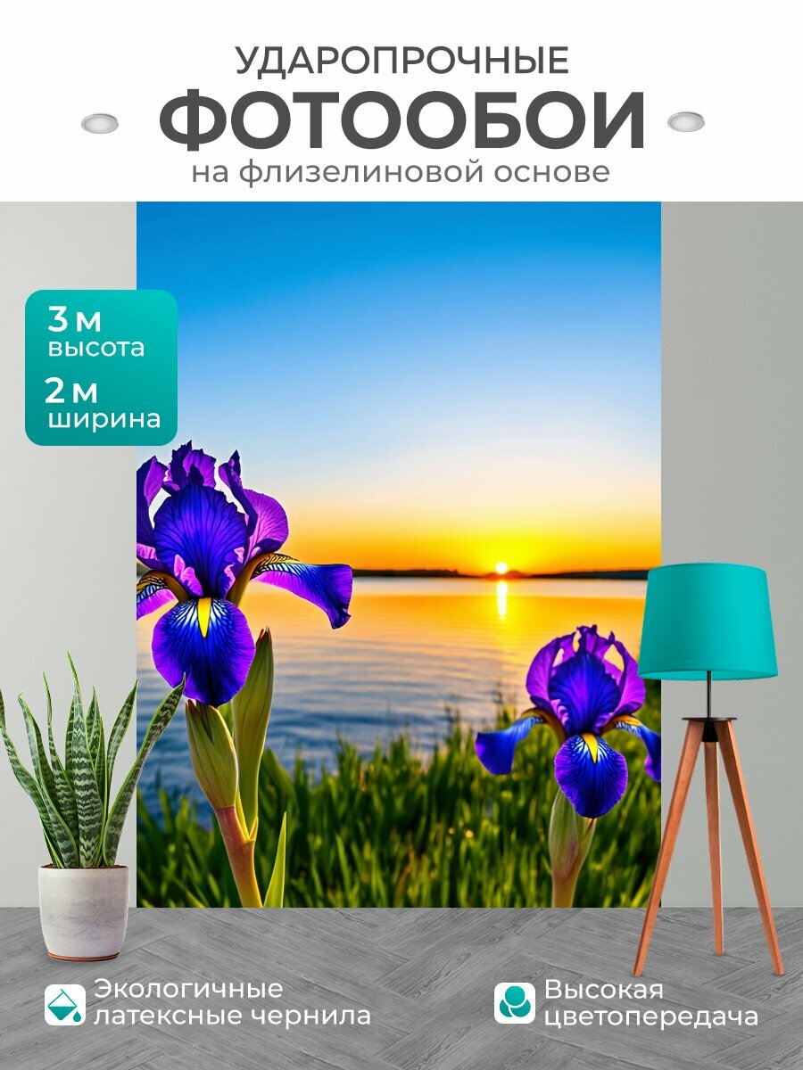 Фотообои моющиеся ударопрочные "Ирисы на фоне заката над озером" 200x300 см. флизелиновые на стену