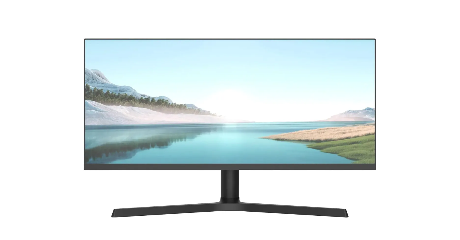 Монитор NPC MZ300L