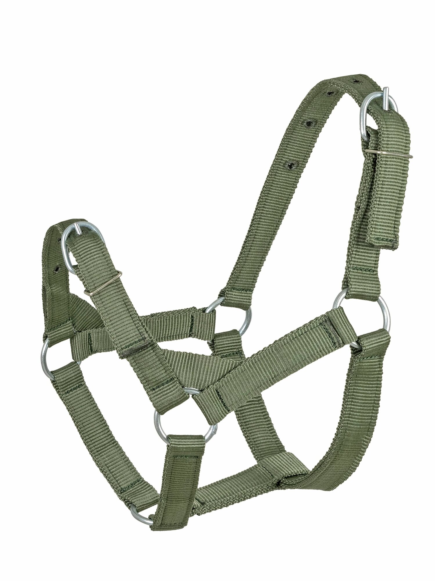 Недоуздок для жеребят регулируемый 25 мм