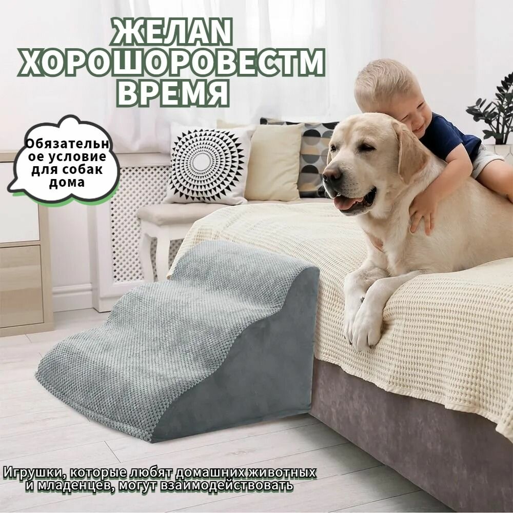 Пандус для животных b — фото 1