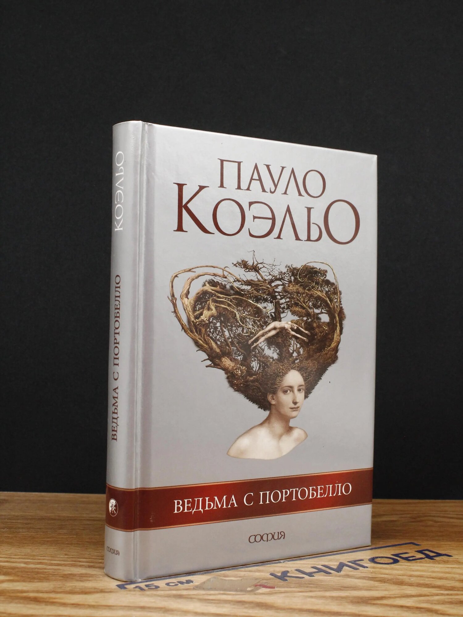 Книга. Ведьма с Портобелло 2007 (2046710367123)