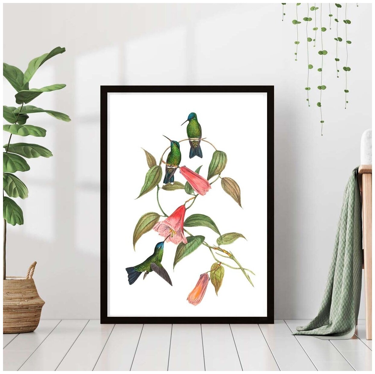 Постер "Птицы Колибри на ветке" 50x70 в черной рамке на стену для интерьера
