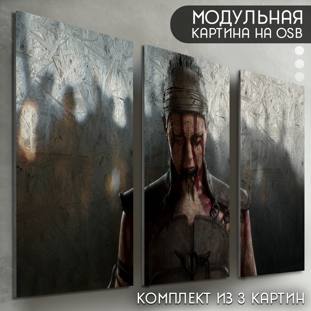 Модульная картина на рельефной доске ОСП "игра Hellblade 2 (сенуа, хелблейд, PS, PC, XBOX, SWITCH) - 6651"