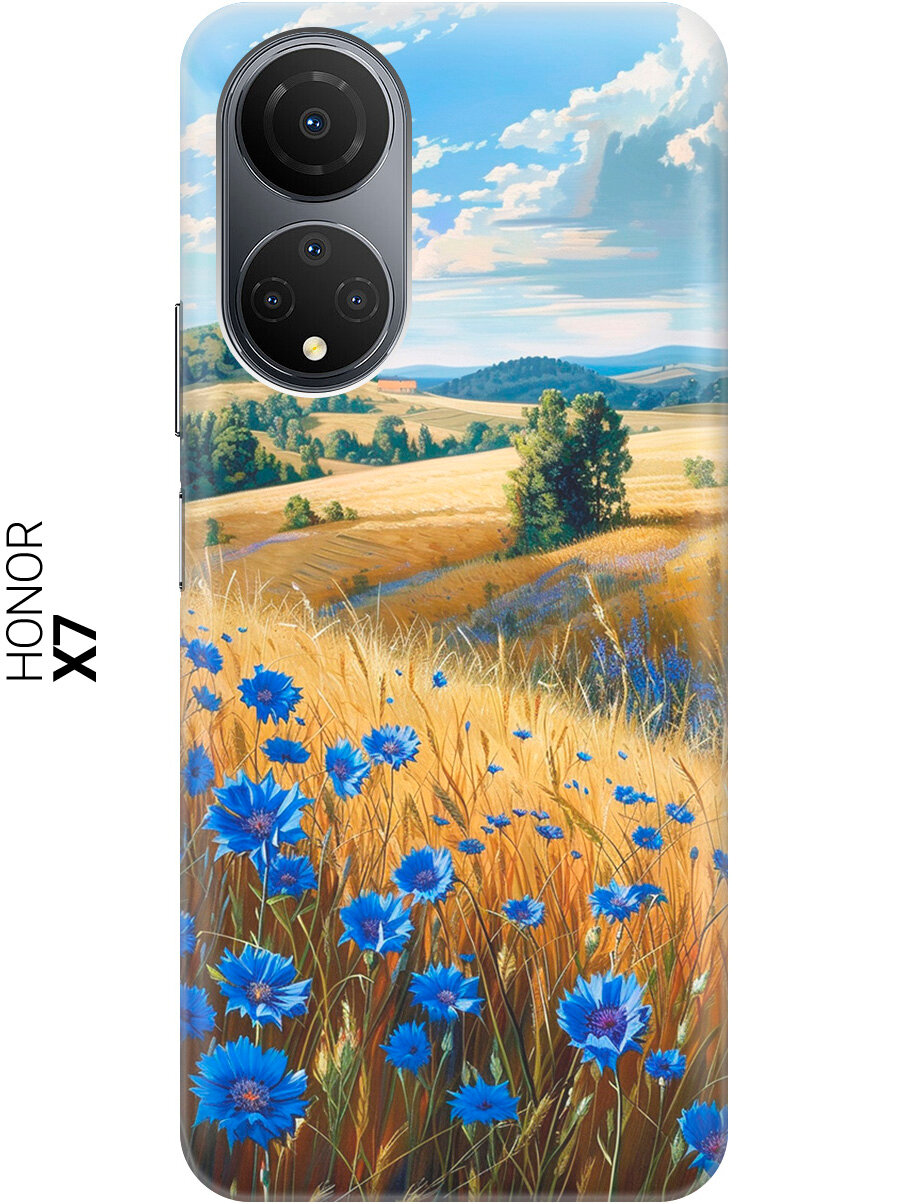Силиконовый чехол на Honor X7 / Хонор Х7 с рисунком "Поле васильков"