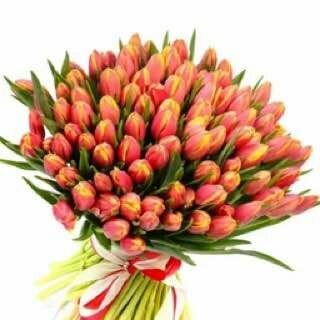 Тюльпаны, 101