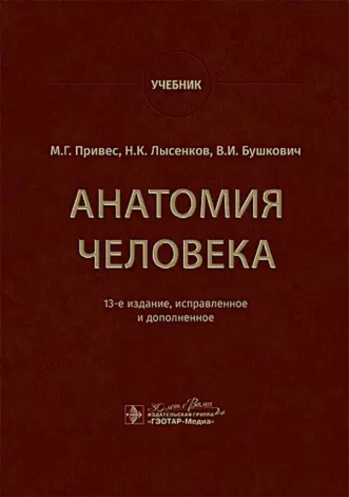 Анатомия человека: Учебник. 13-е изд, испр. и доп