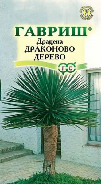 Семена драцены "Драконово дерево", в упаковке 3 шт - позволят вам вырастить несколько растений и создать зеленый декор в больших комнатах, вестибюлях, офисах, а также на открытых террасах и балконах.
